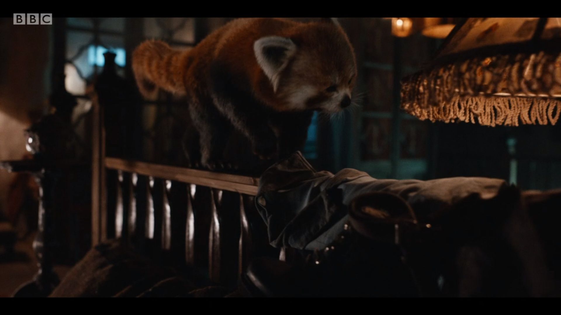 Red Panda VFX in the new season of "His Darkest Materials"! | Scrolller