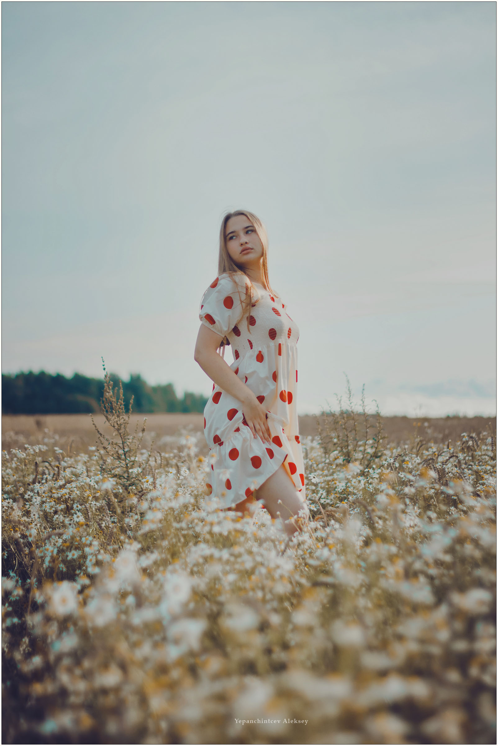 Red polka dots in a field | Scrolller
