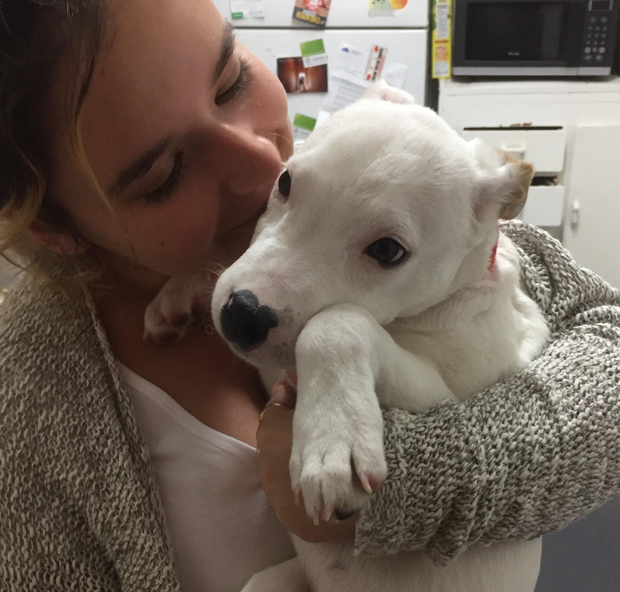 "Reddit, I adopted my first dog today! Say hi to Casper!" [/u/storeyvicky1728] | Scrolller