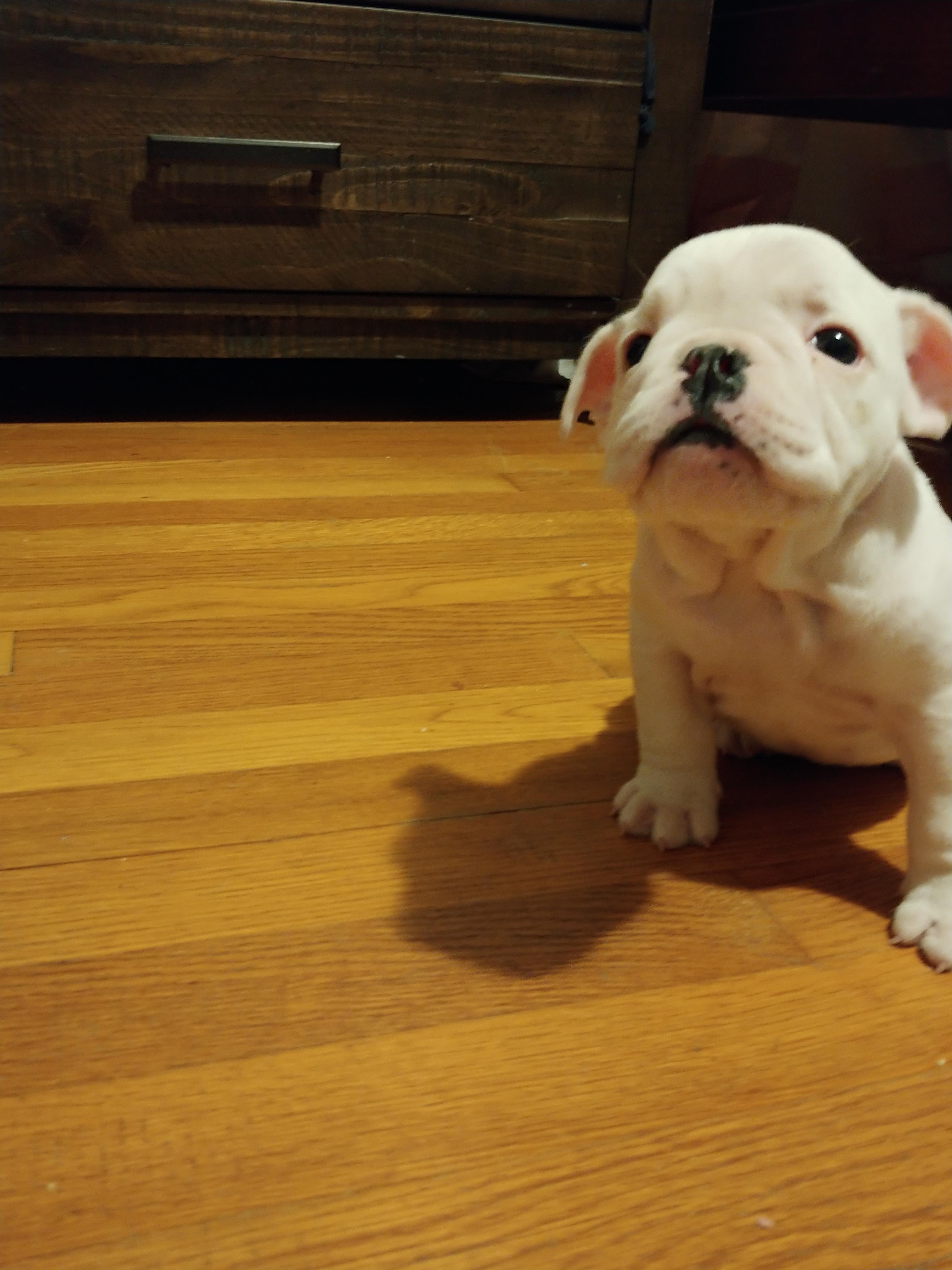 Reddit, meet Agatha | Scrolller