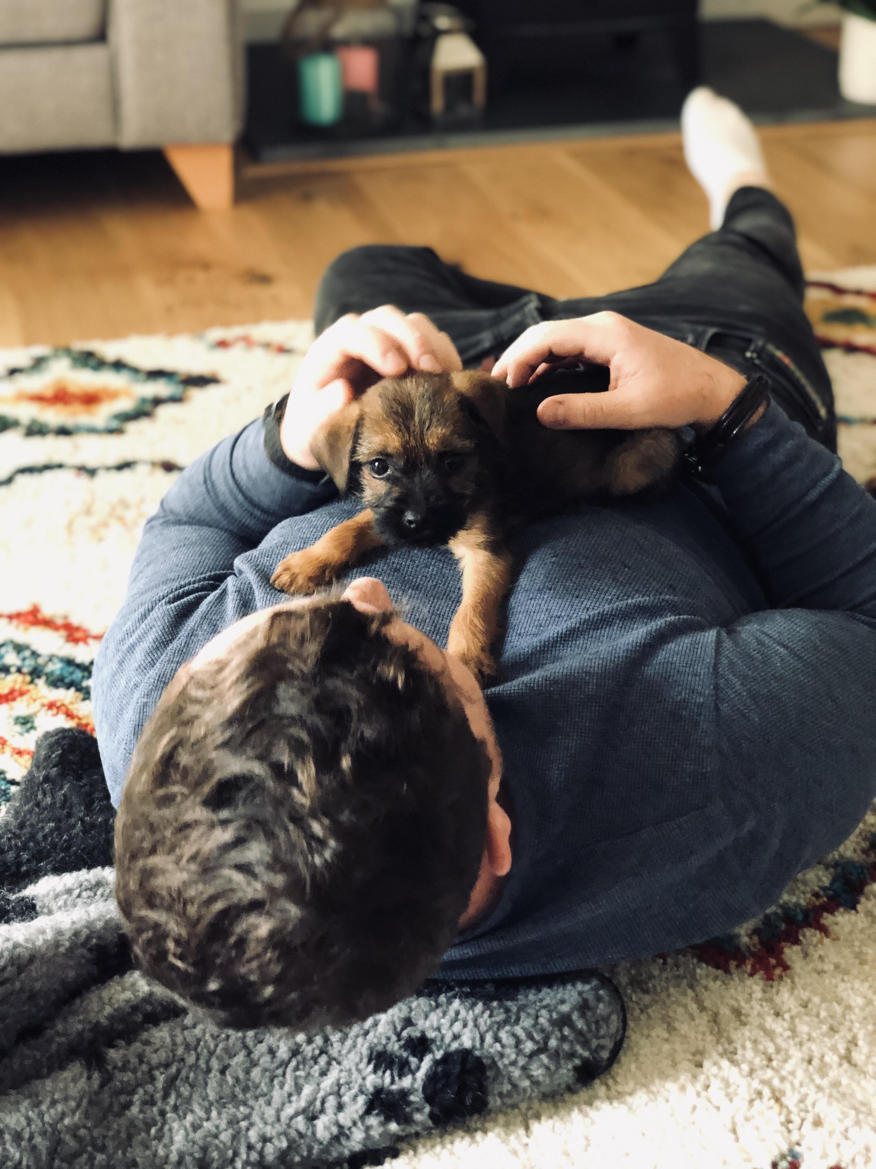 Reddit....meet Bishop!! | Scrolller