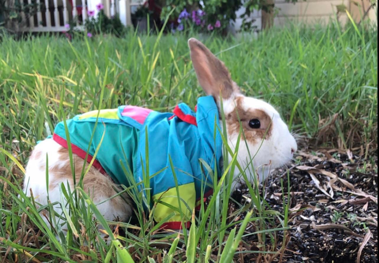 Reddit, meet Oliver | Scrolller