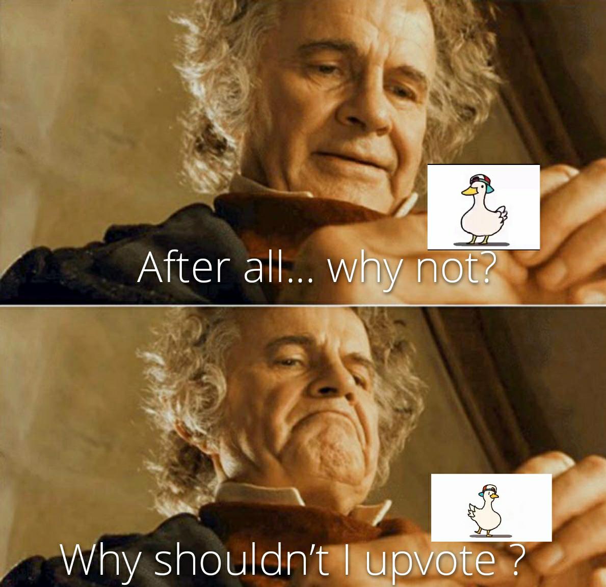 Redditors when they see a duck: | Scrolller Redditors when they see a duck: | Scrolller