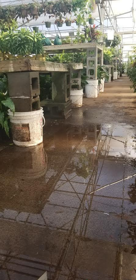 Reflecting on the day in the Greenhouse. | Scrolller