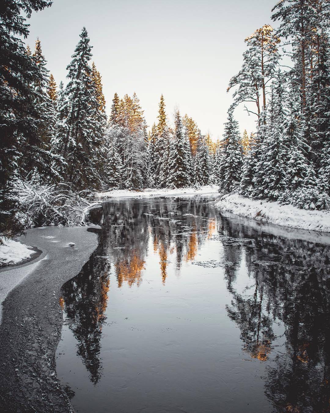 Reflections | Scrolller