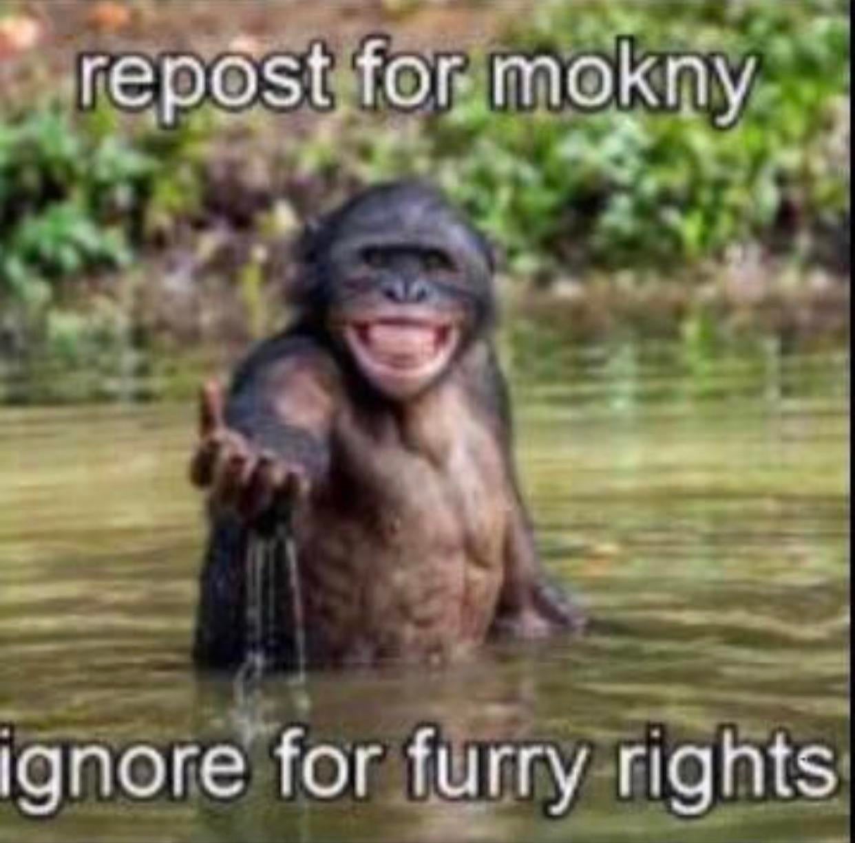 Reject Humanity Embrace Monke Scrolller