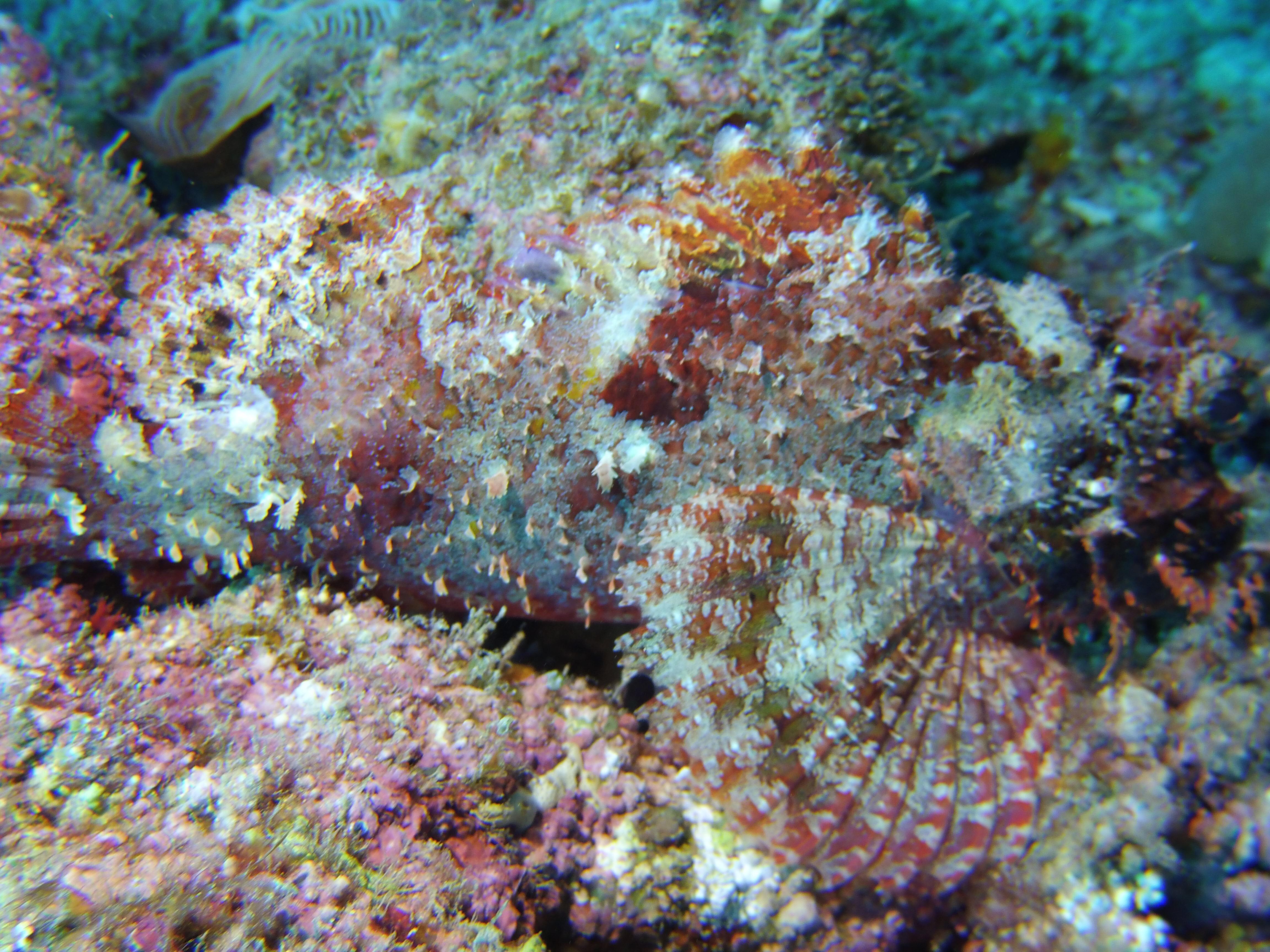 Remember not to touch the bottom! | Scrolller