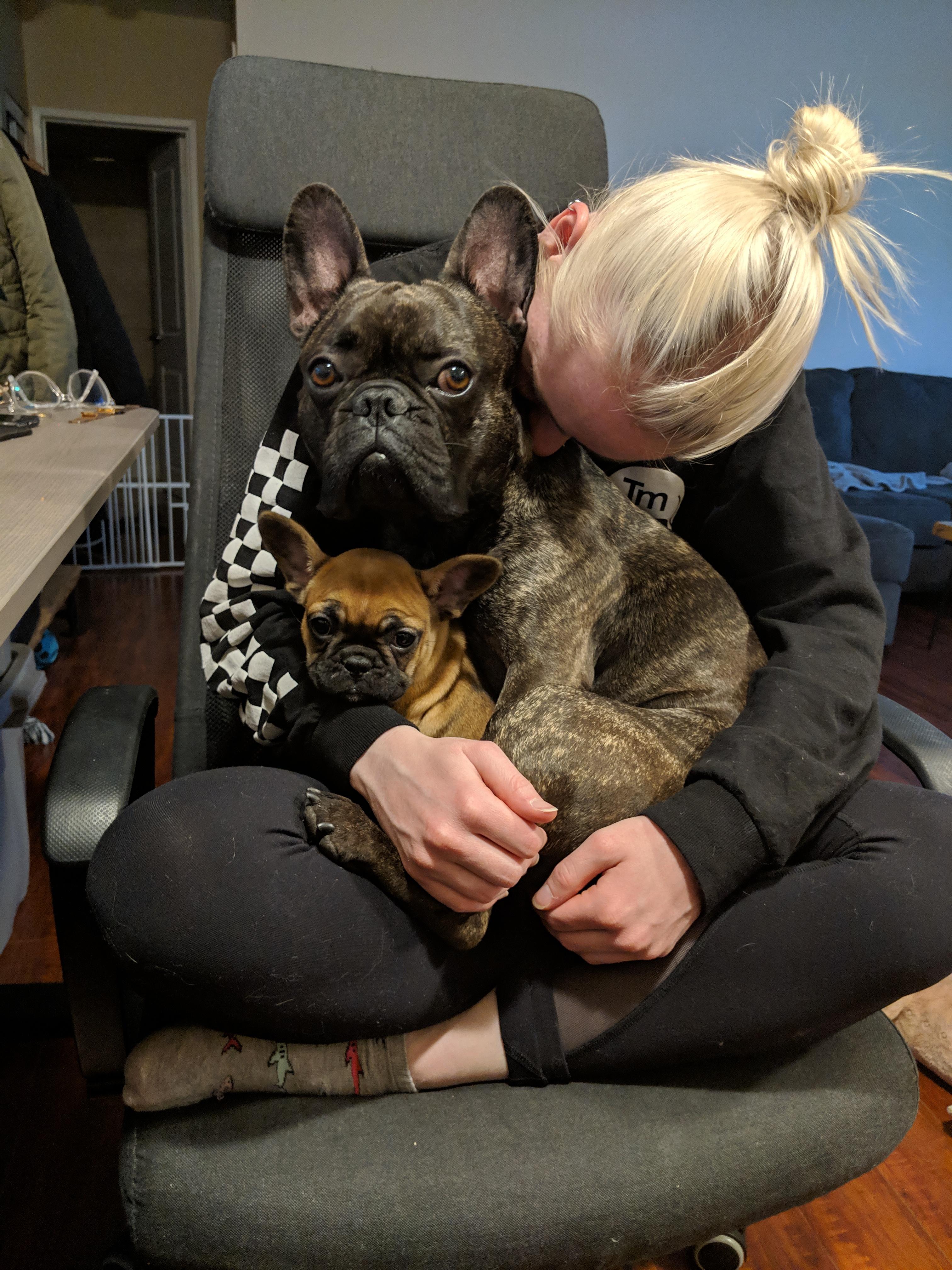 Remy is fitting in well | Scrolller