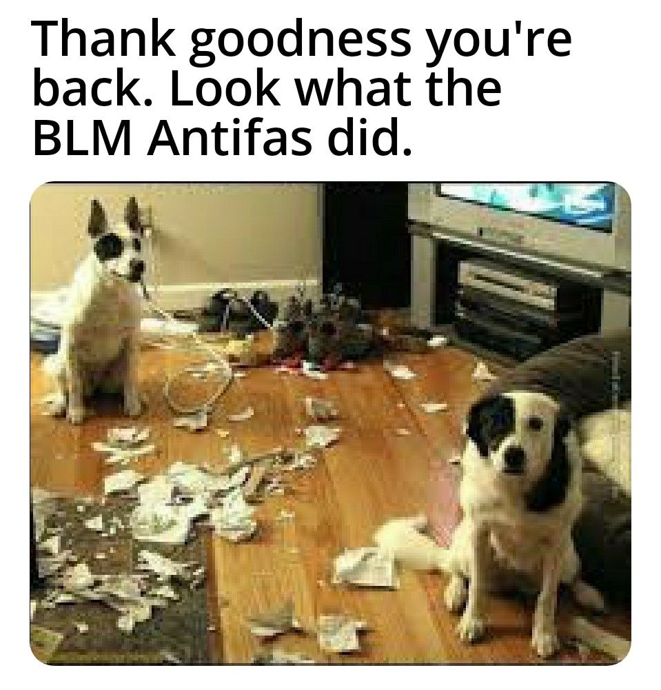 Republican Dogs | Scrolller