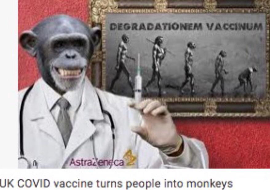 Return to monke | Scrolller