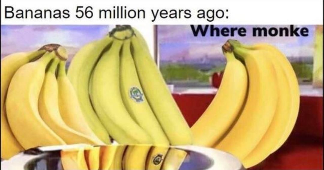 return to monke | Scrolller