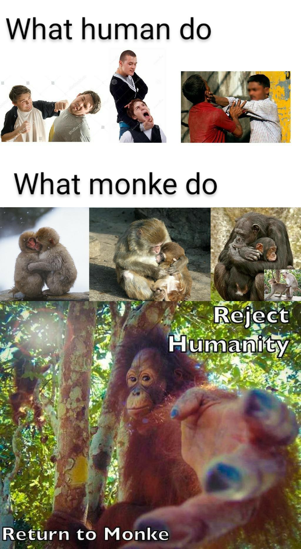 Return to monke bois | Scrolller