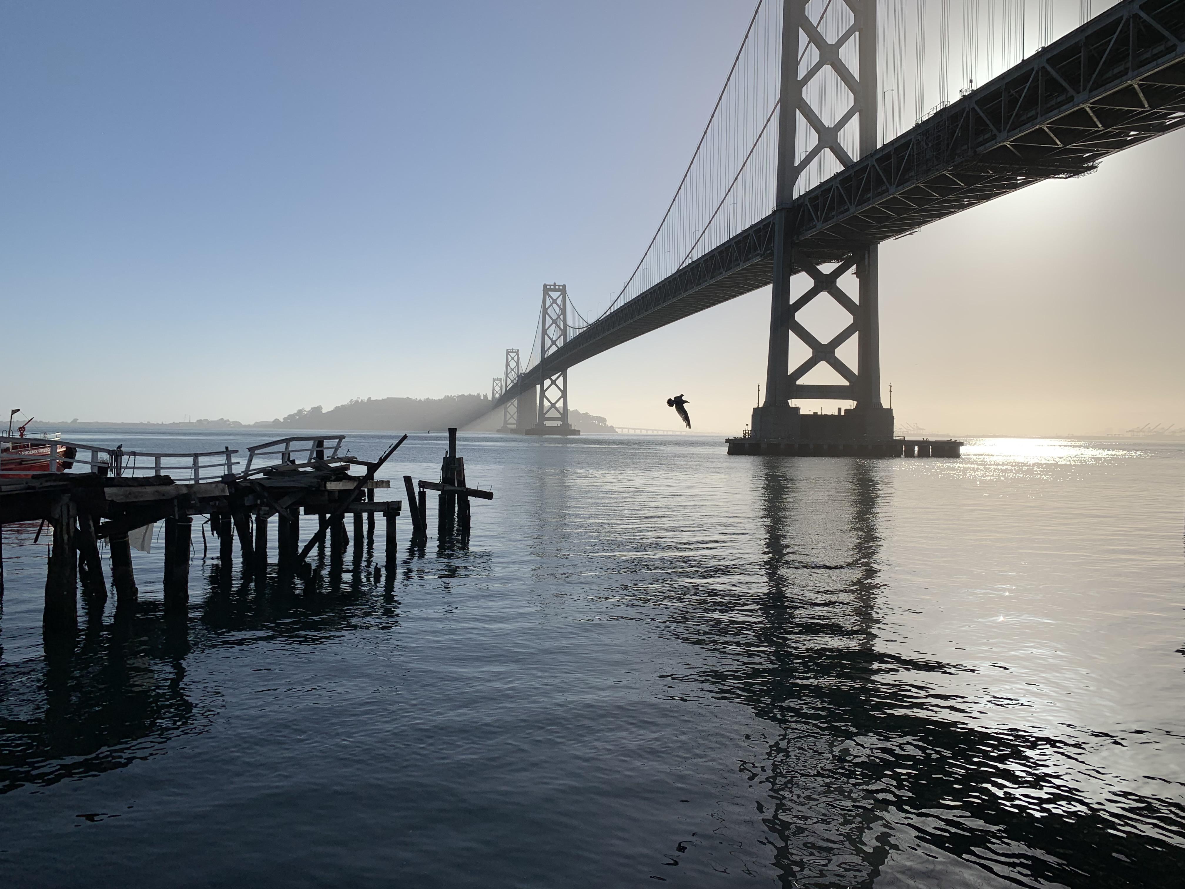 Ricon Park Bridge, San Francisco | Scrolller