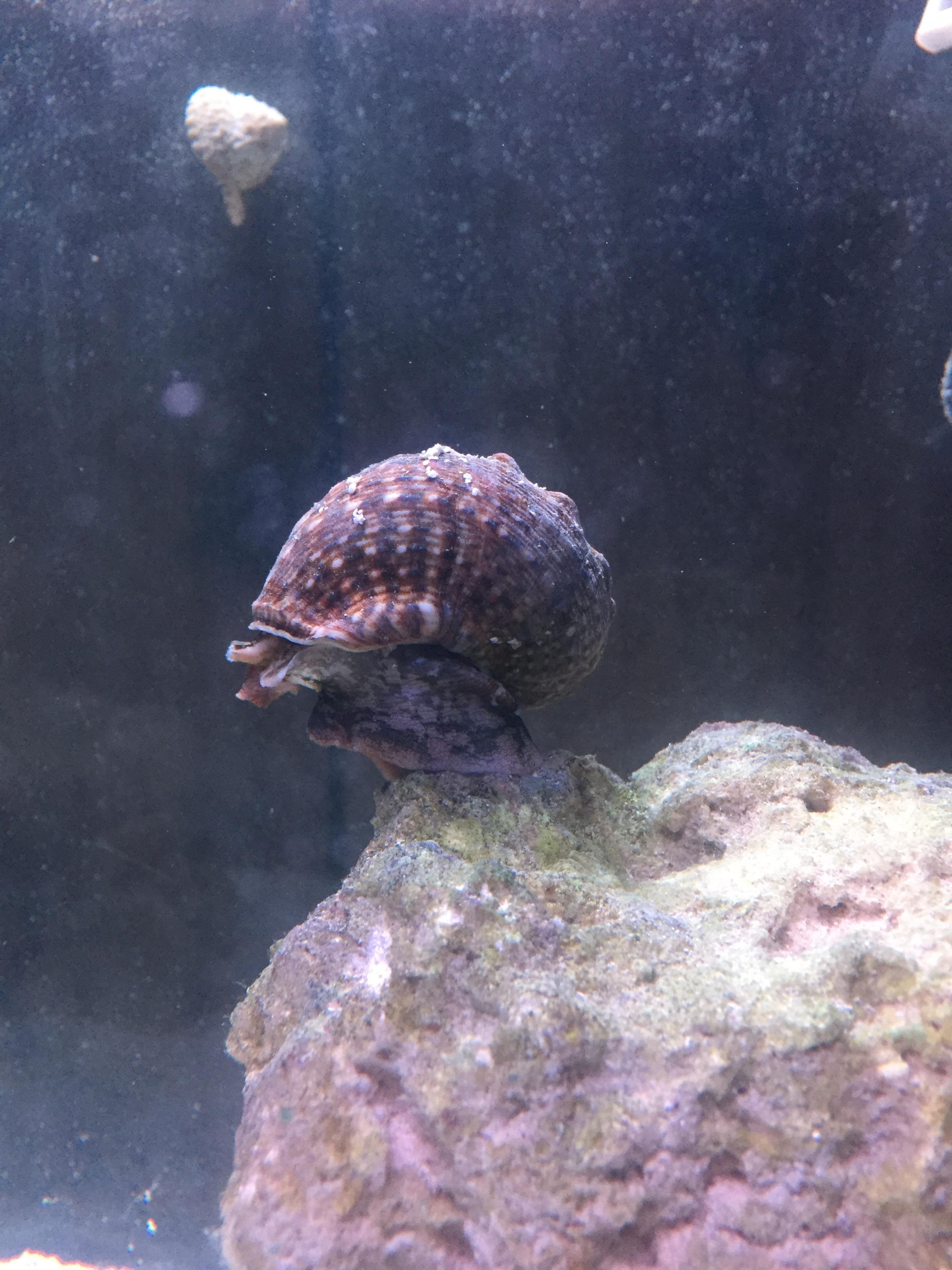 Right move-Right time ! | Scrolller