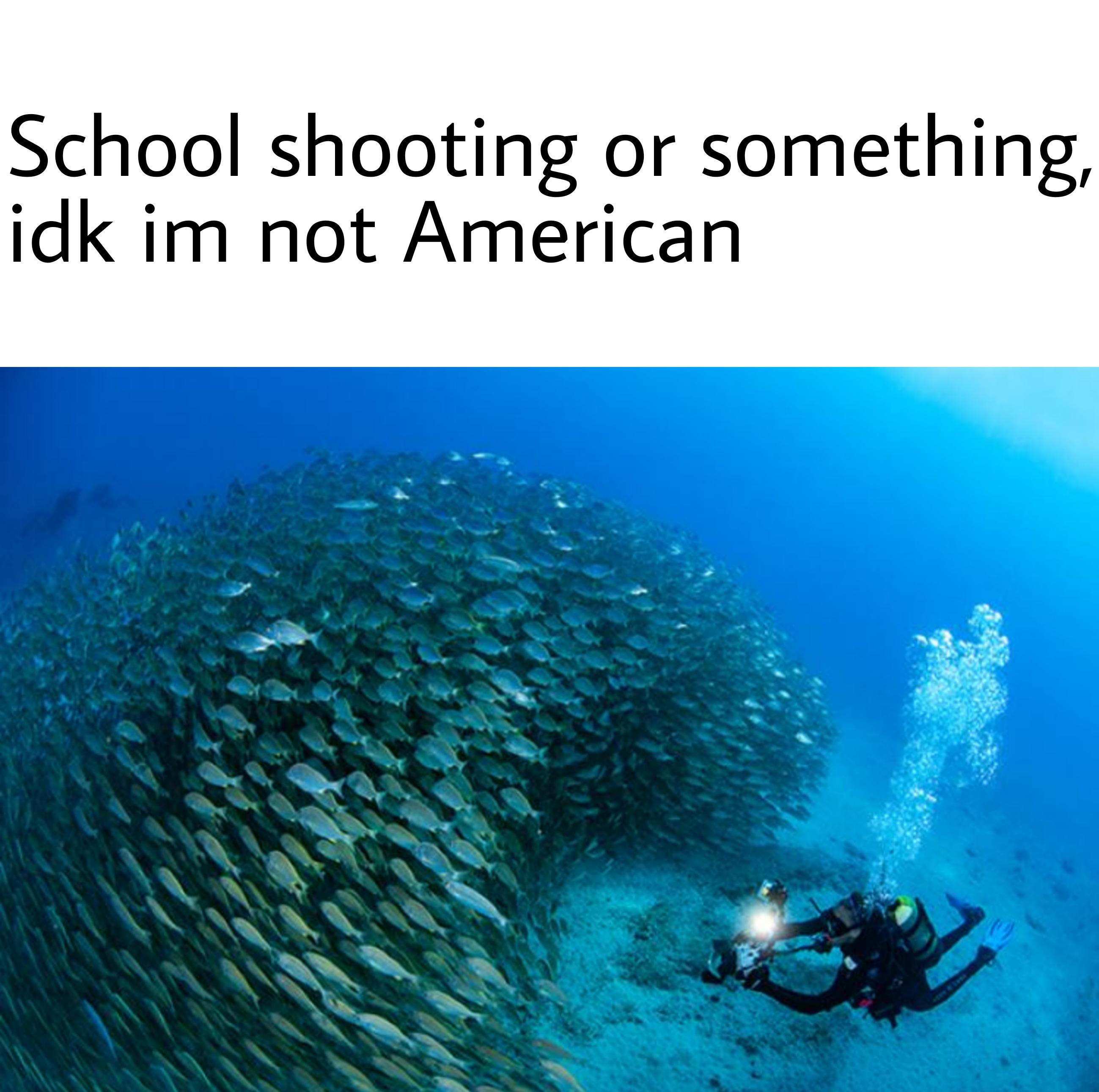 Right? Or am I missing something? | Scrolller