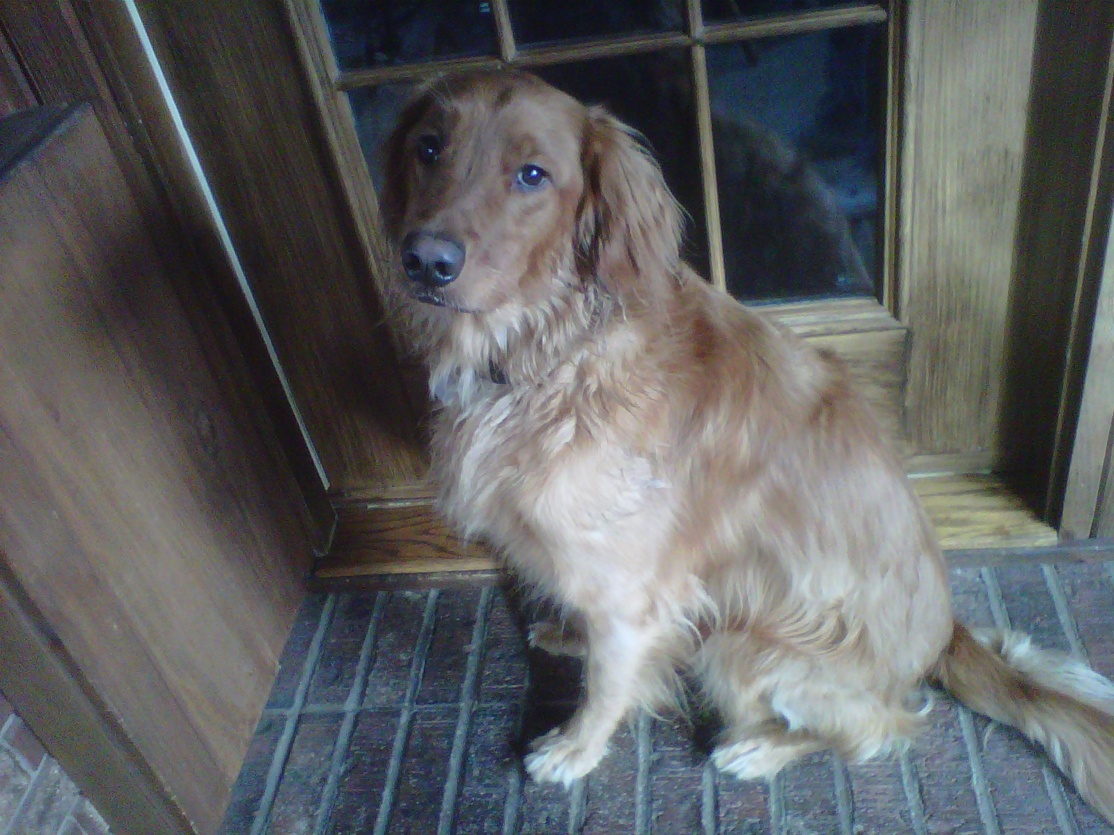 Riley looking handsome as always | Scrolller