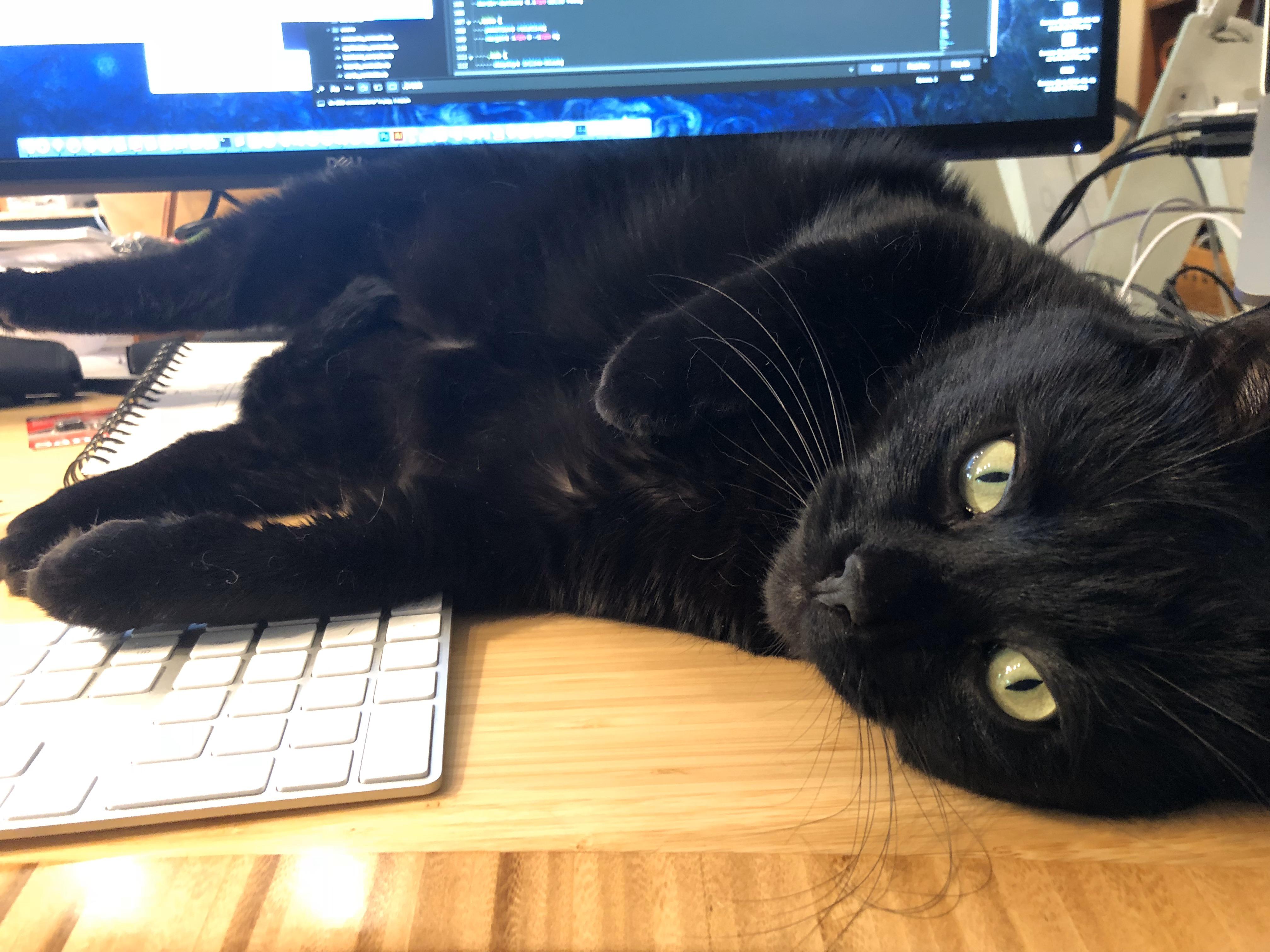 RIP Frank | Scrolller