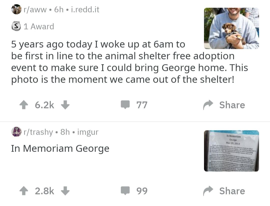 RIP George | Scrolller