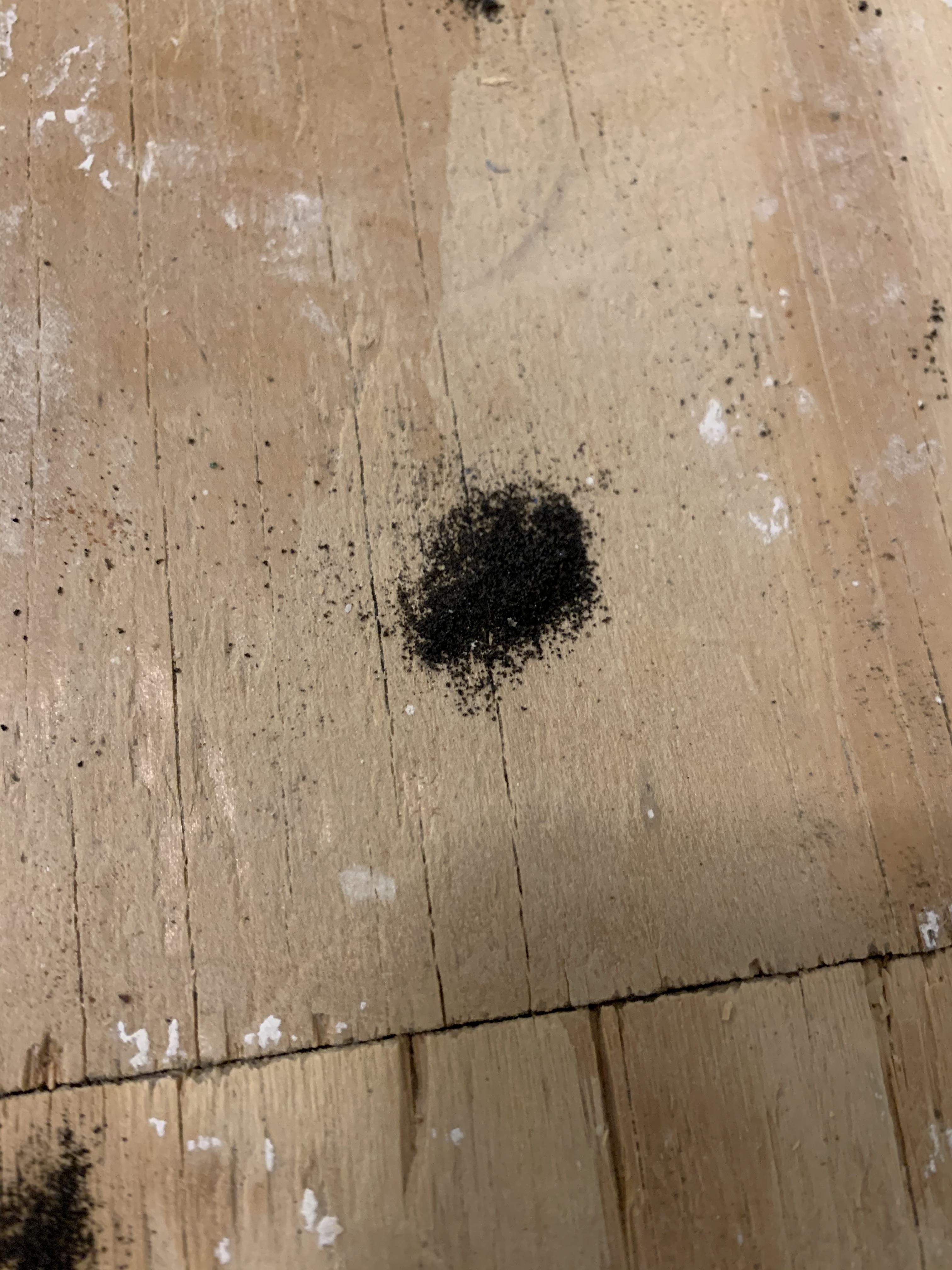 Ripped up carpet and this was underneath the padding. Tiny black spots made up of a sand like ...