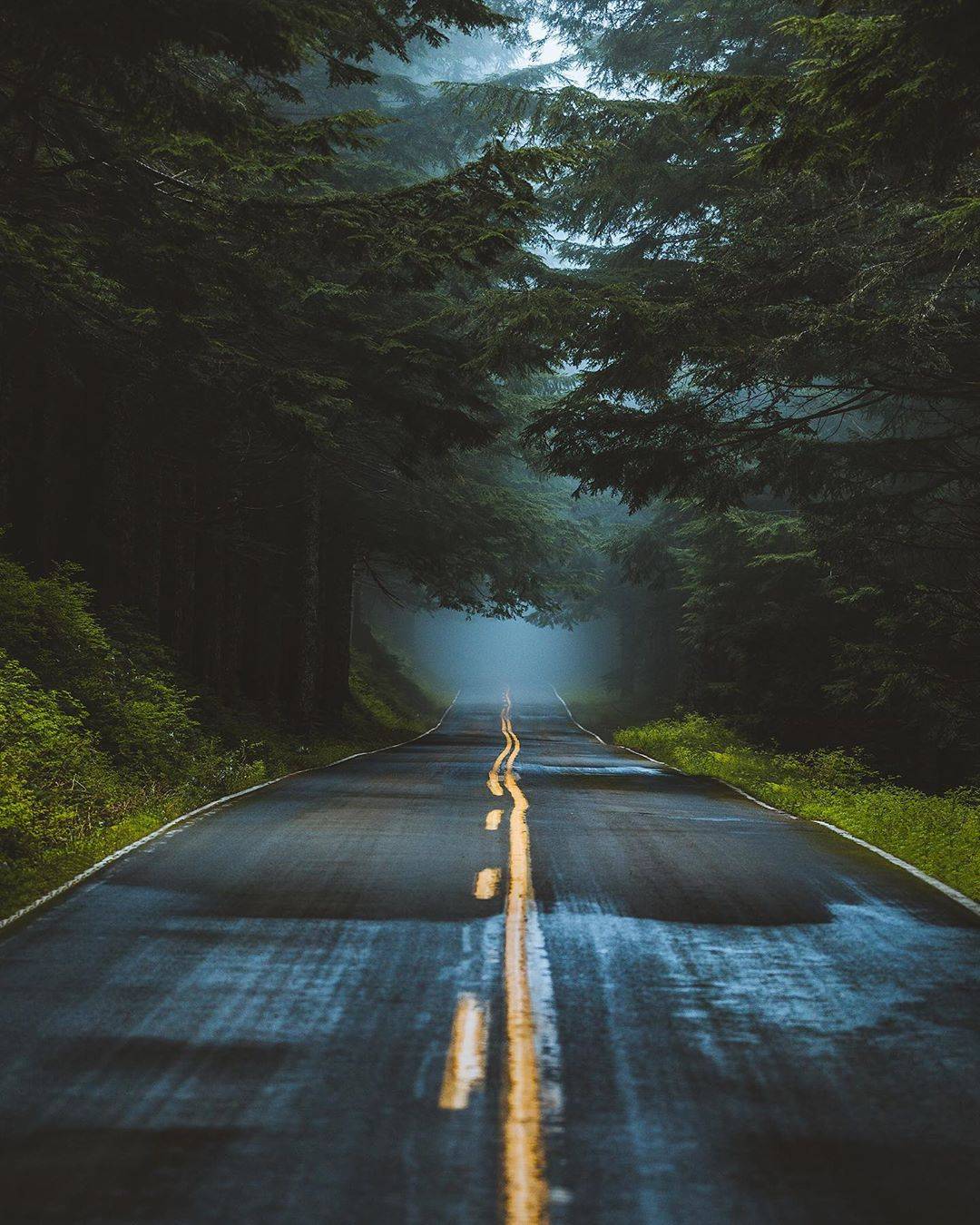 Road to Larch Mountain, Oregon | Scrolller
