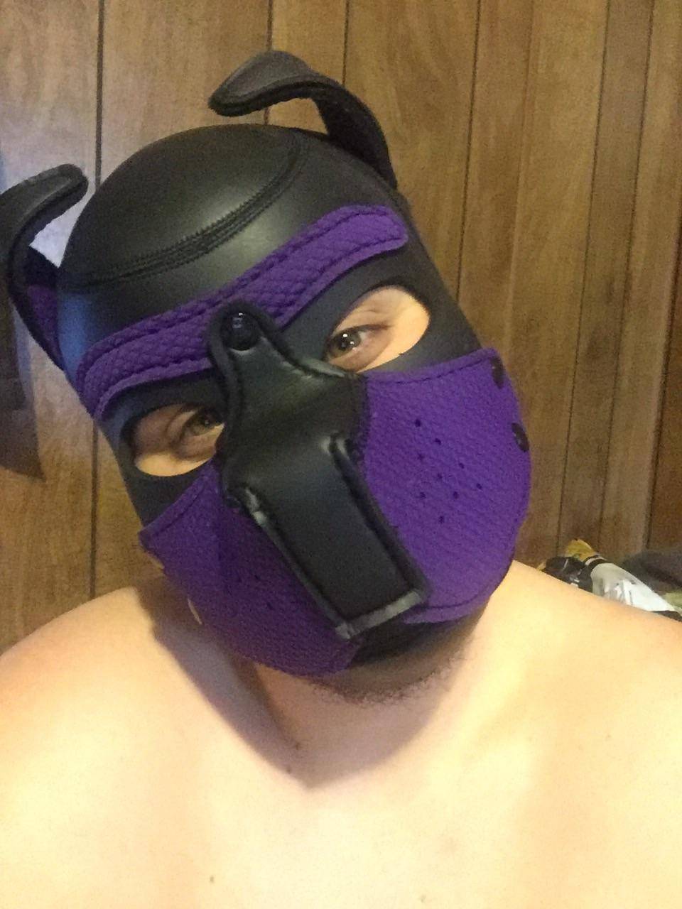 Rocket just got his first hood. | Scrolller