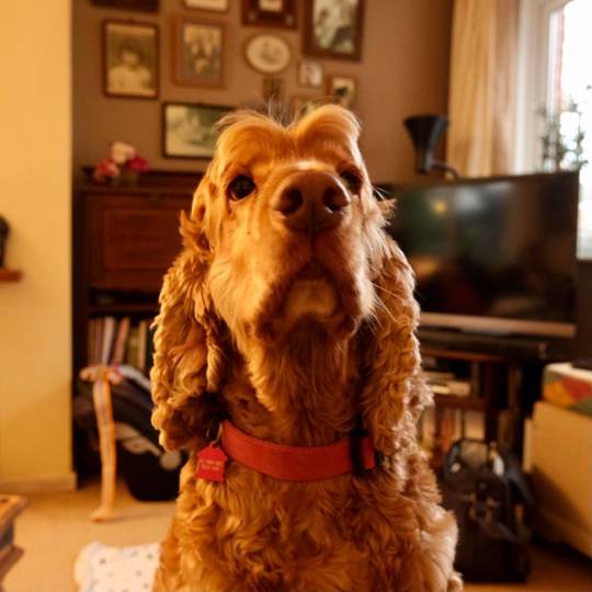 Roger knows he’s handsome | Scrolller