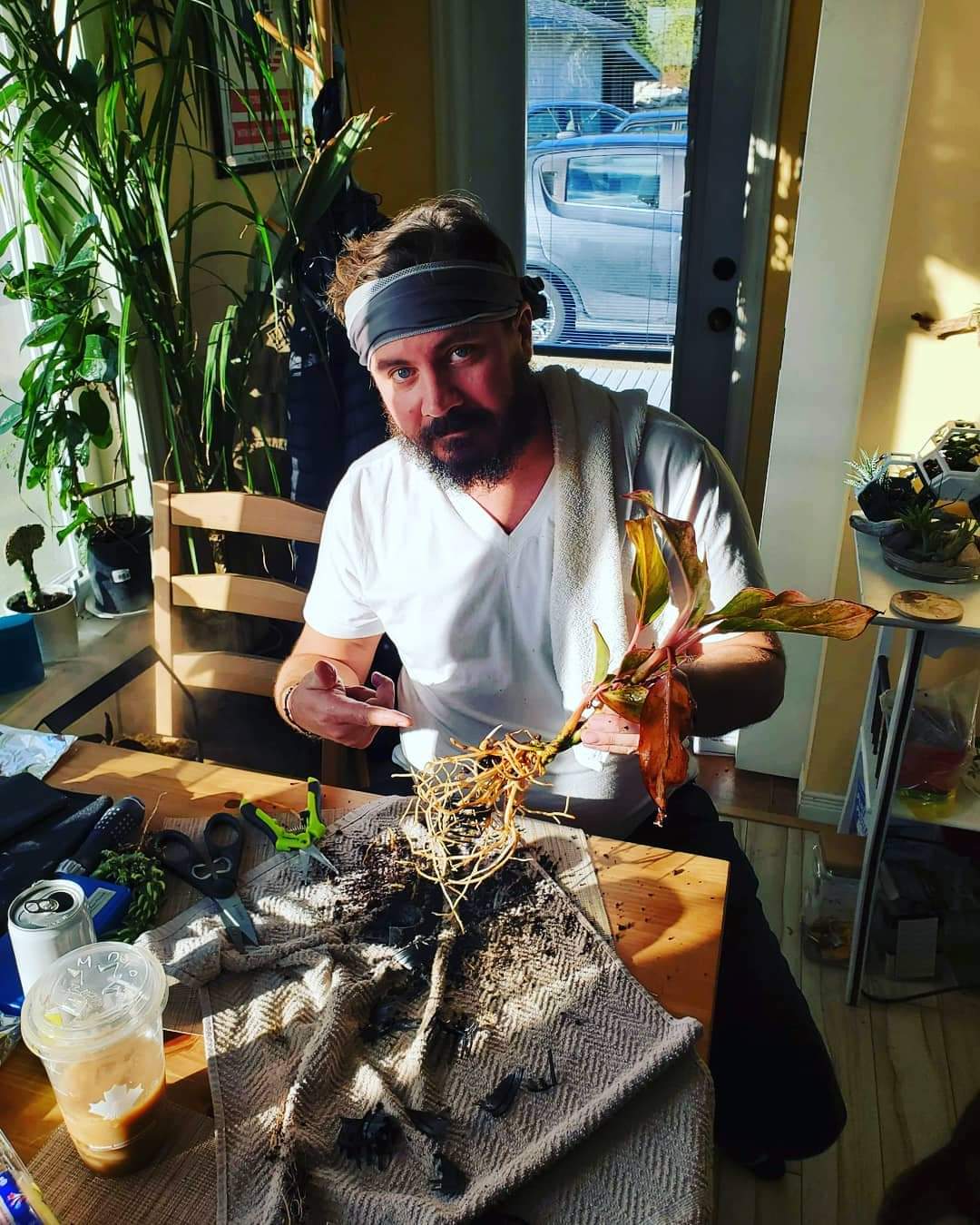 Root game is strong | Scrolller