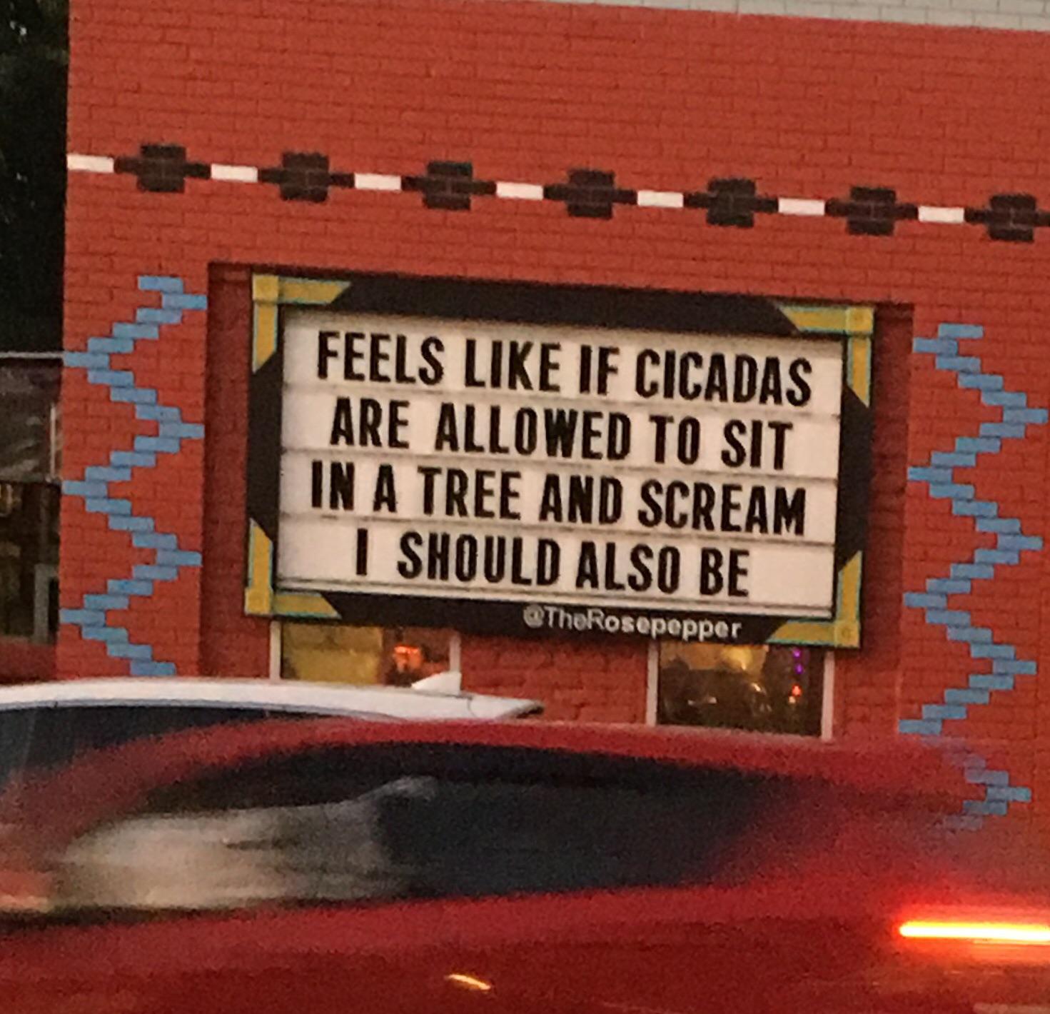 Rosepepper Cantina; Nashville, Tennessee | Scrolller