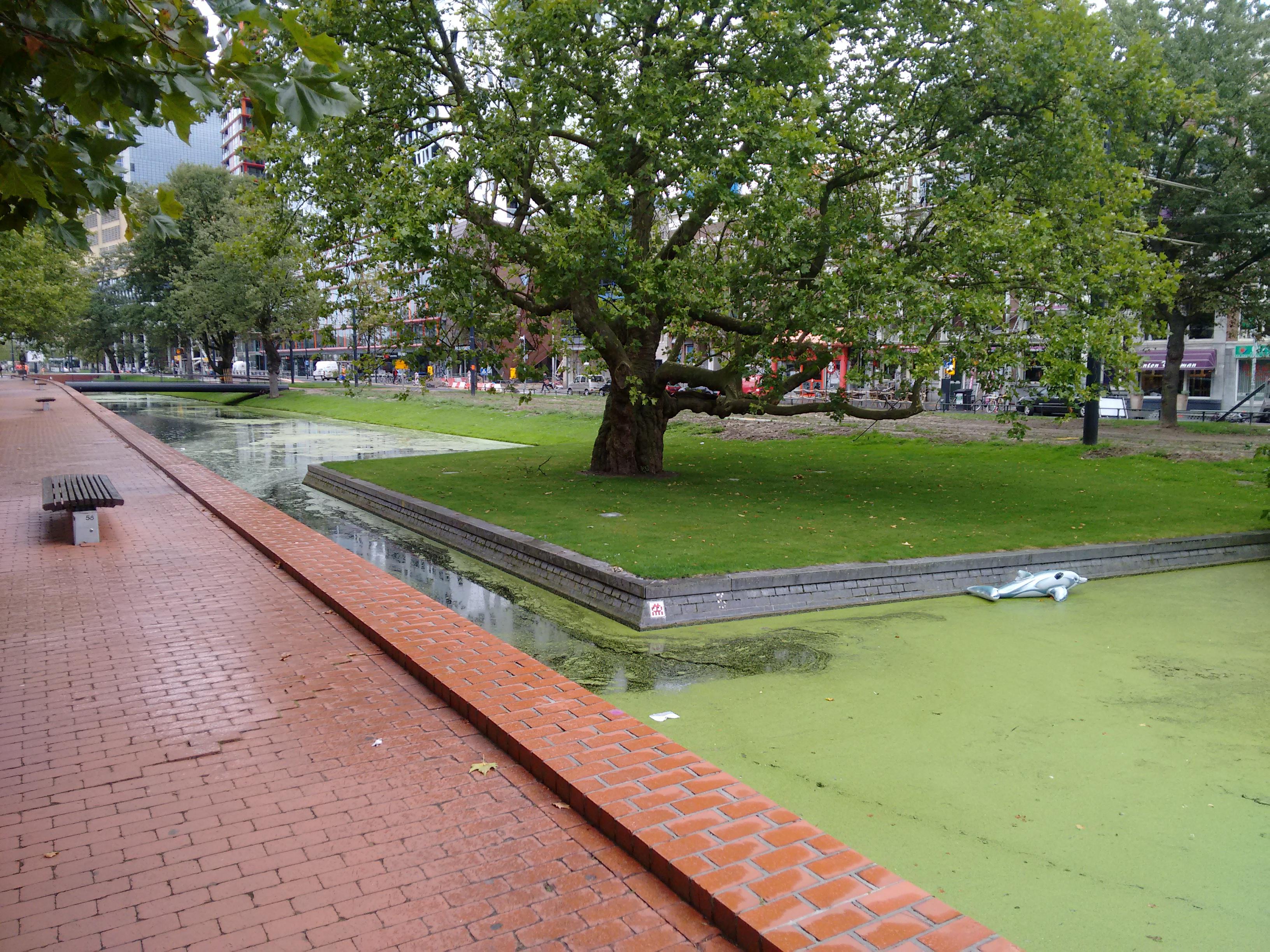 Rotterdam singel dolphin. Present whereabouts unknown. | Scrolller