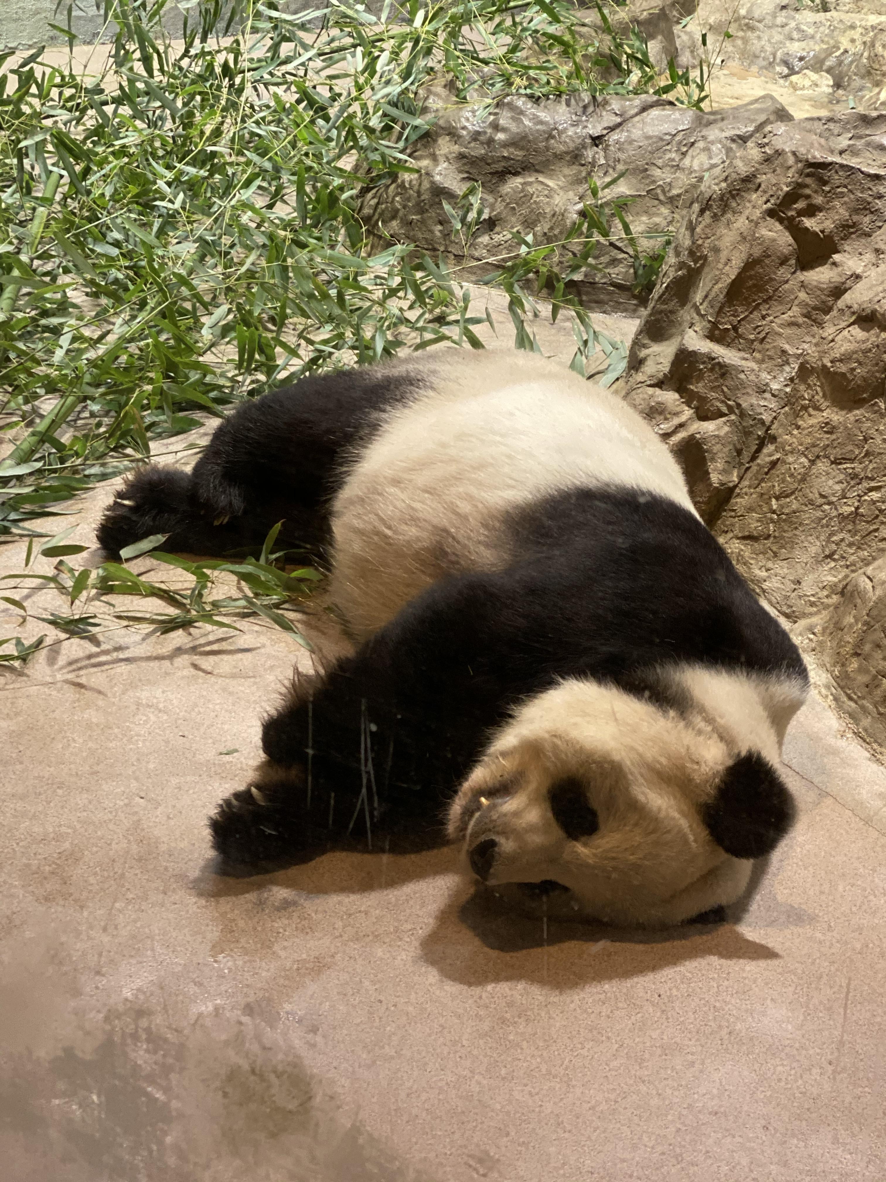 Rough morning. Dc Zoo | Scrolller