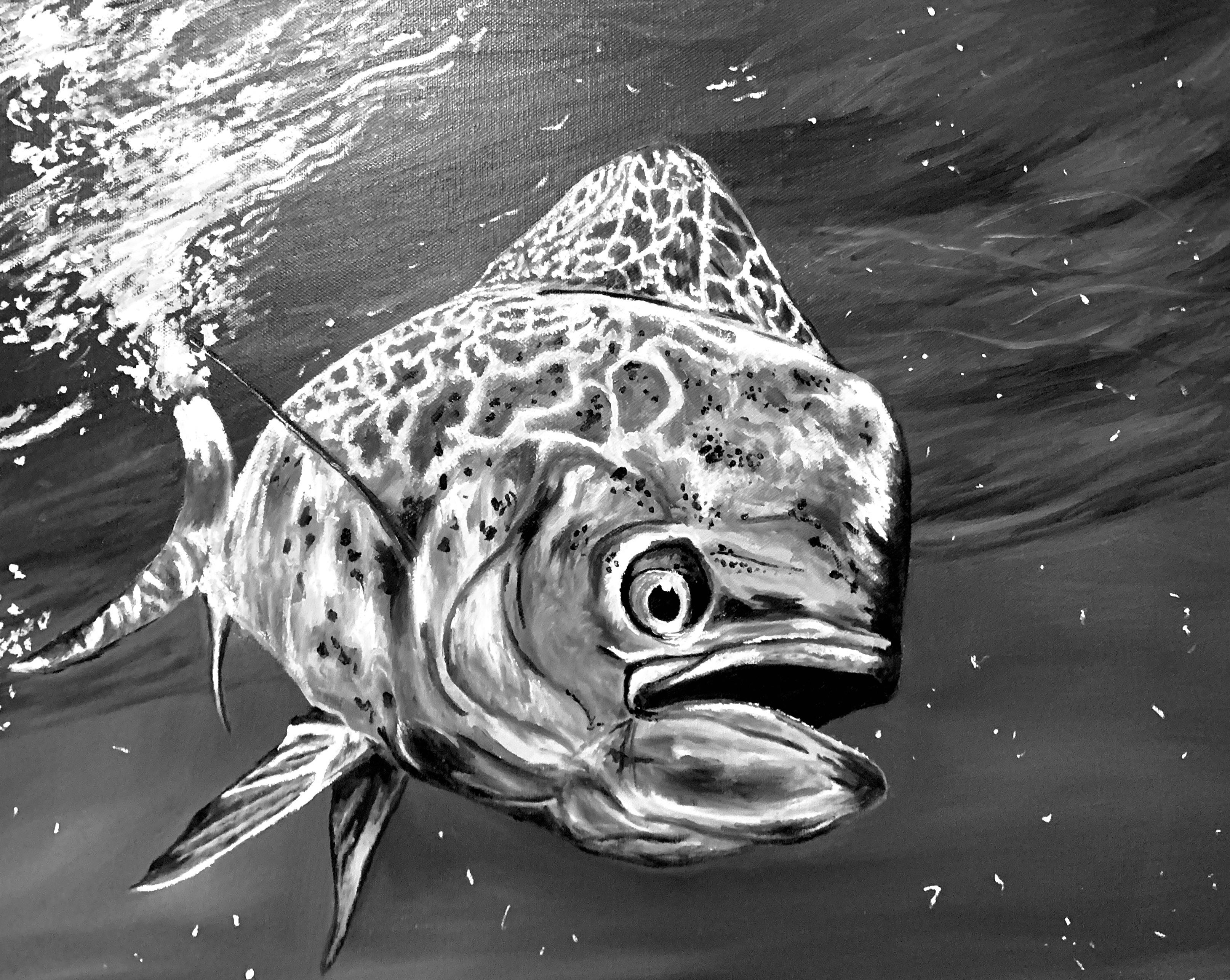 “ROUND 1” oil on canvas- Mahi Mahi | Scrolller