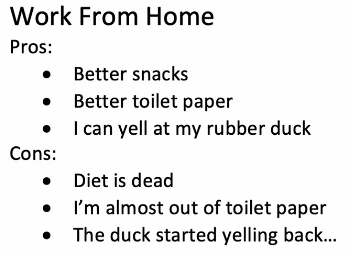 Rubber Ducky Debugging From Home | Scrolller