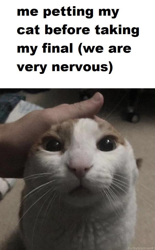 Rule (wish me luck) | Scrolller