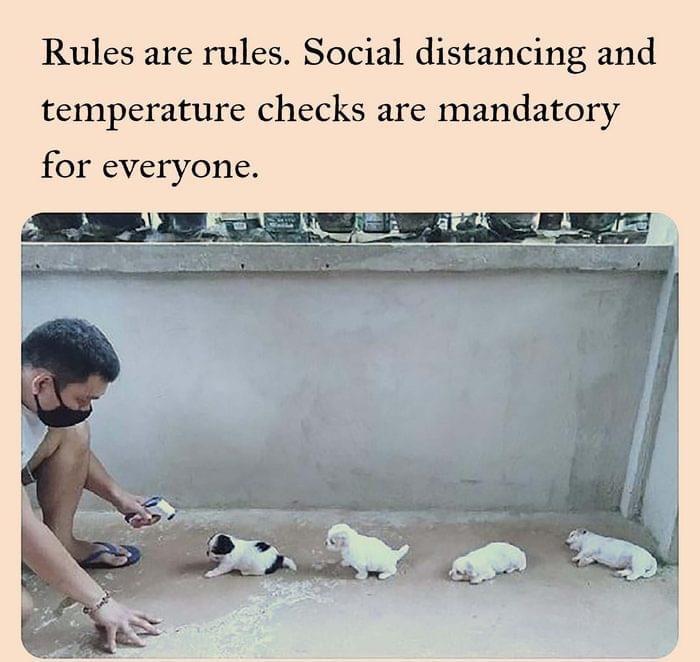 Rules are rules. | Scrolller