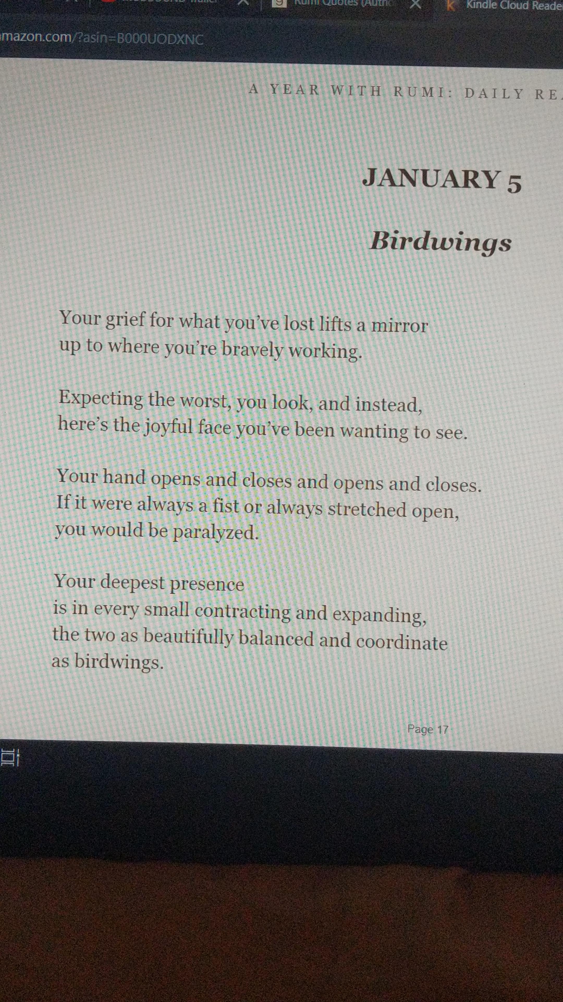 Rumi is lsd while sober | Scrolller