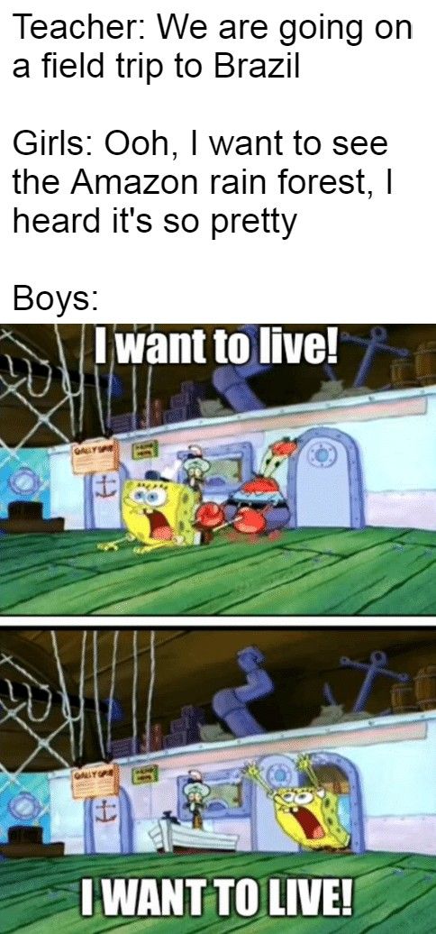 Run While You Still Can Scrolller