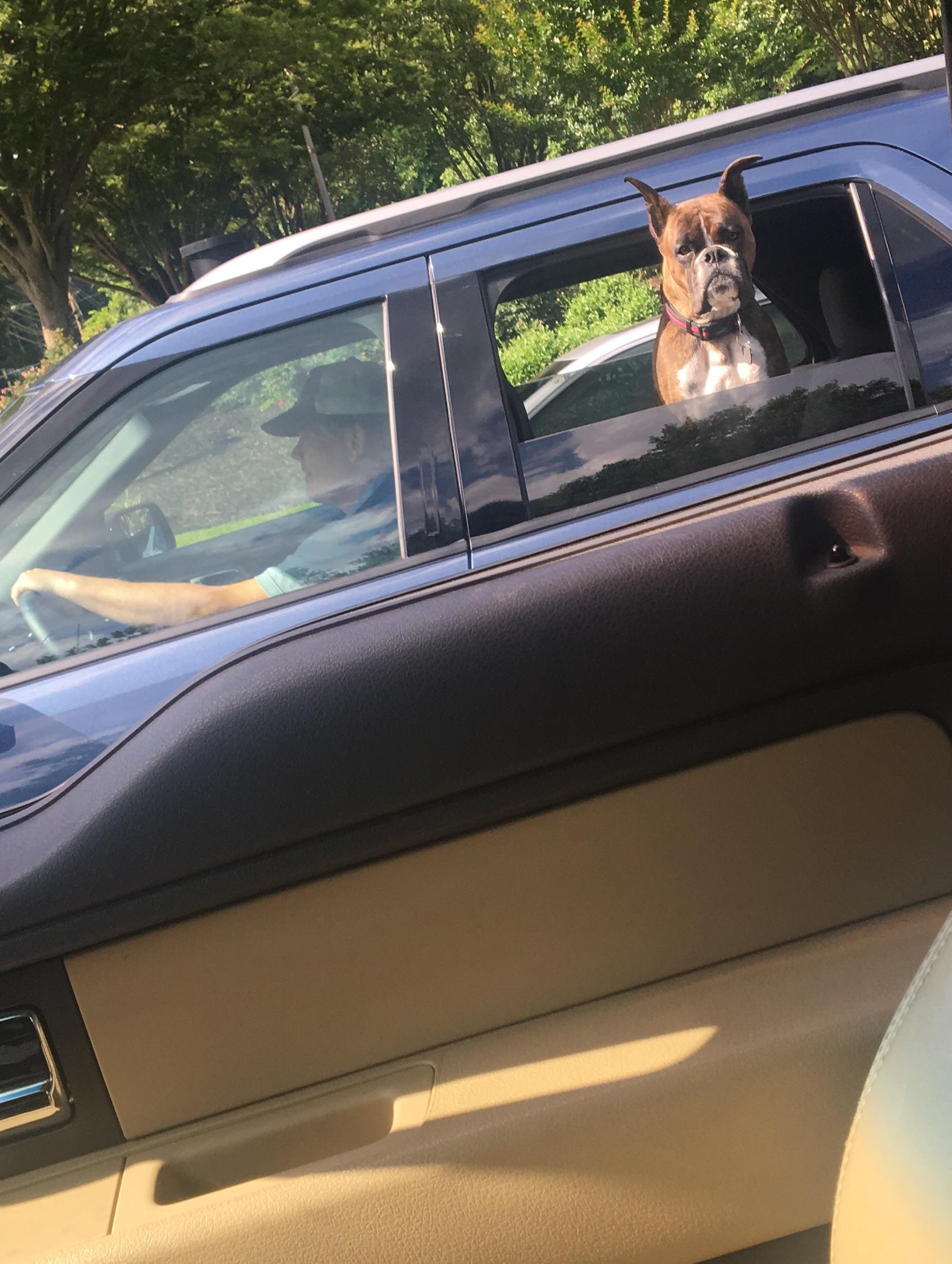 Rush hour life .. | Scrolller