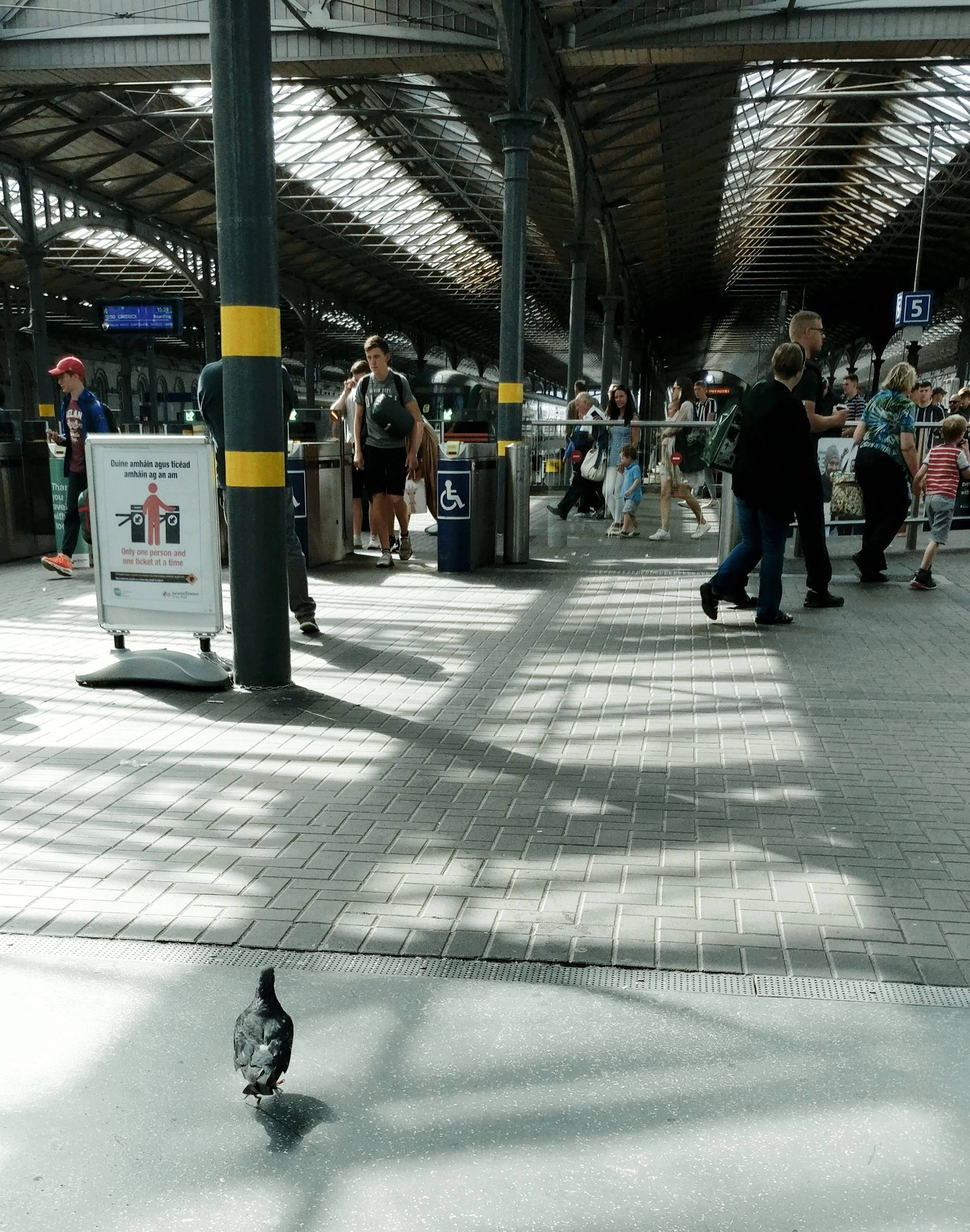 Rushing to platform 5 | Scrolller