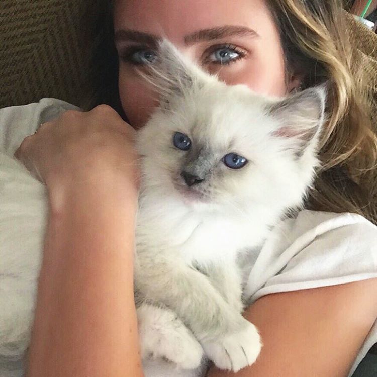 Ryan Newman | Scrolller