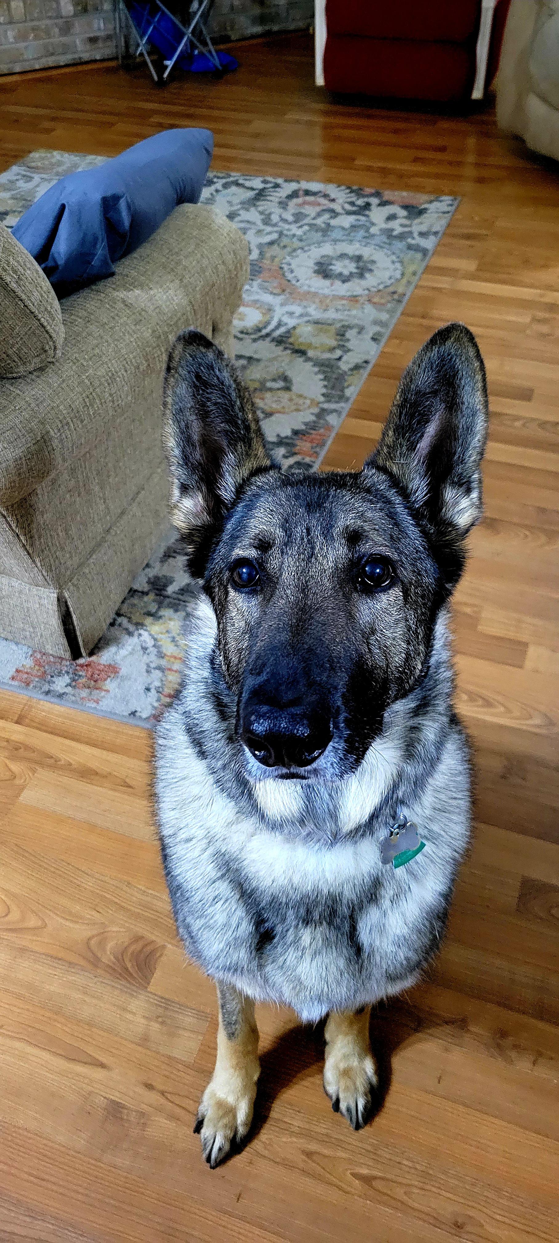 Sable Goodmorning | Scrolller