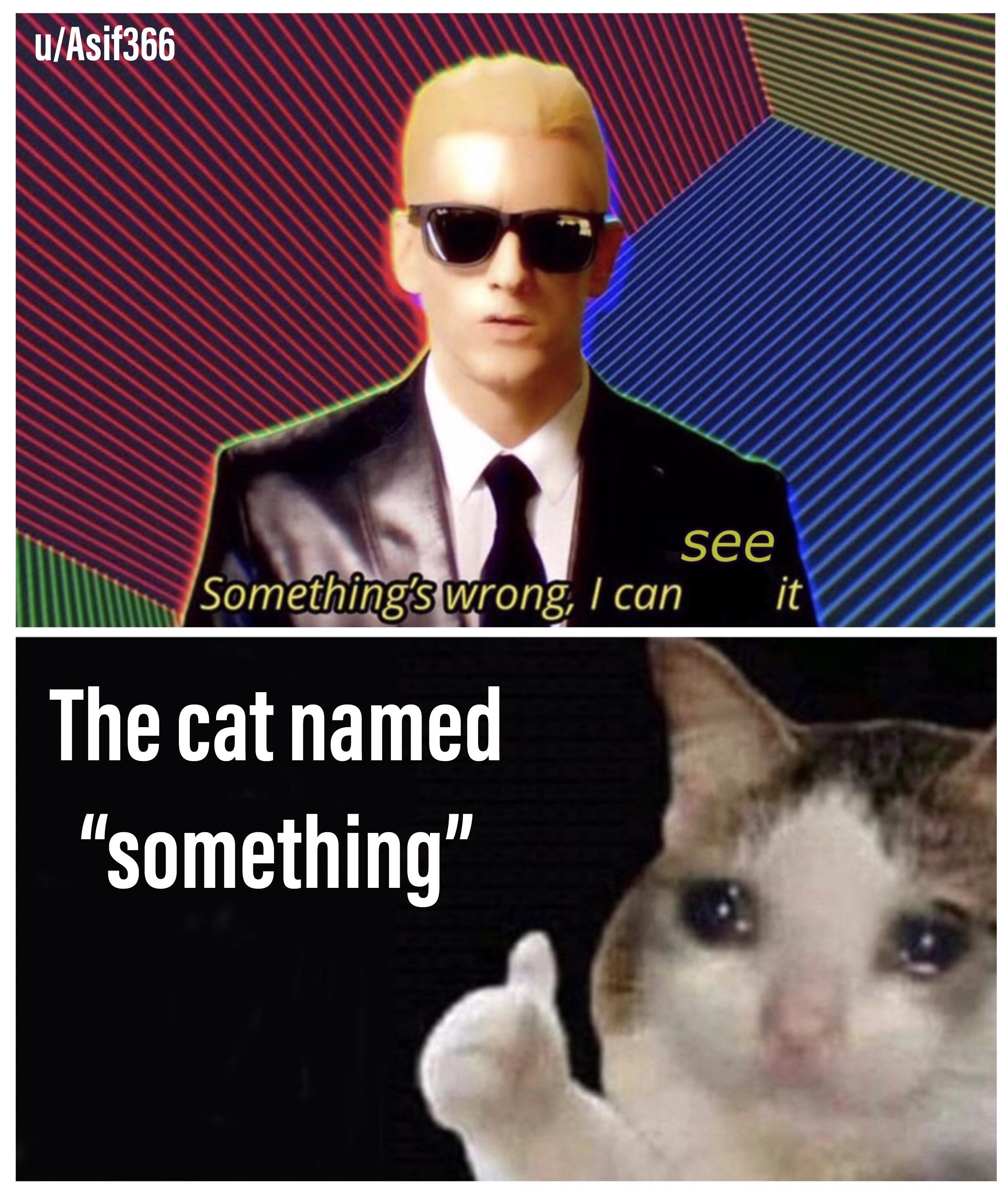 Sad cat noises :( | Scrolller