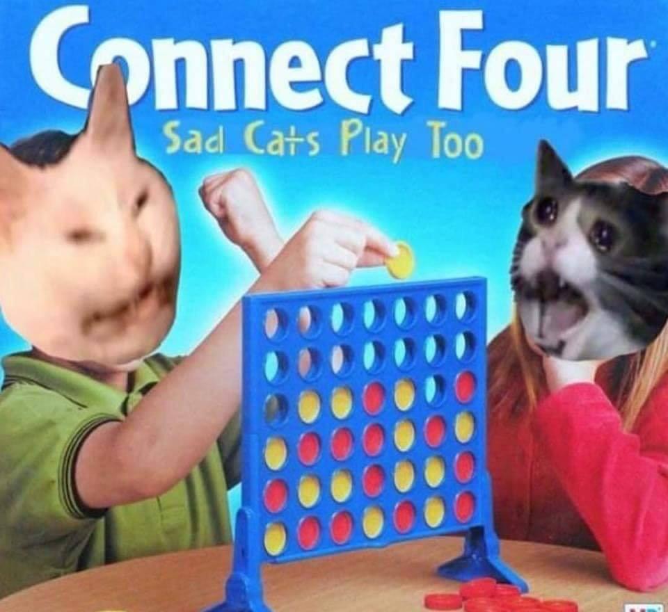 Sad cats | Scrolller