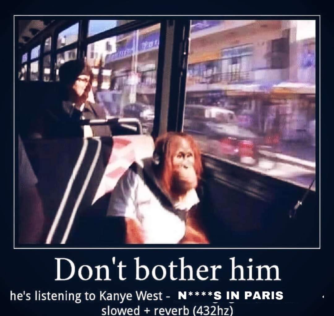 Sad monke 🦍 | Scrolller