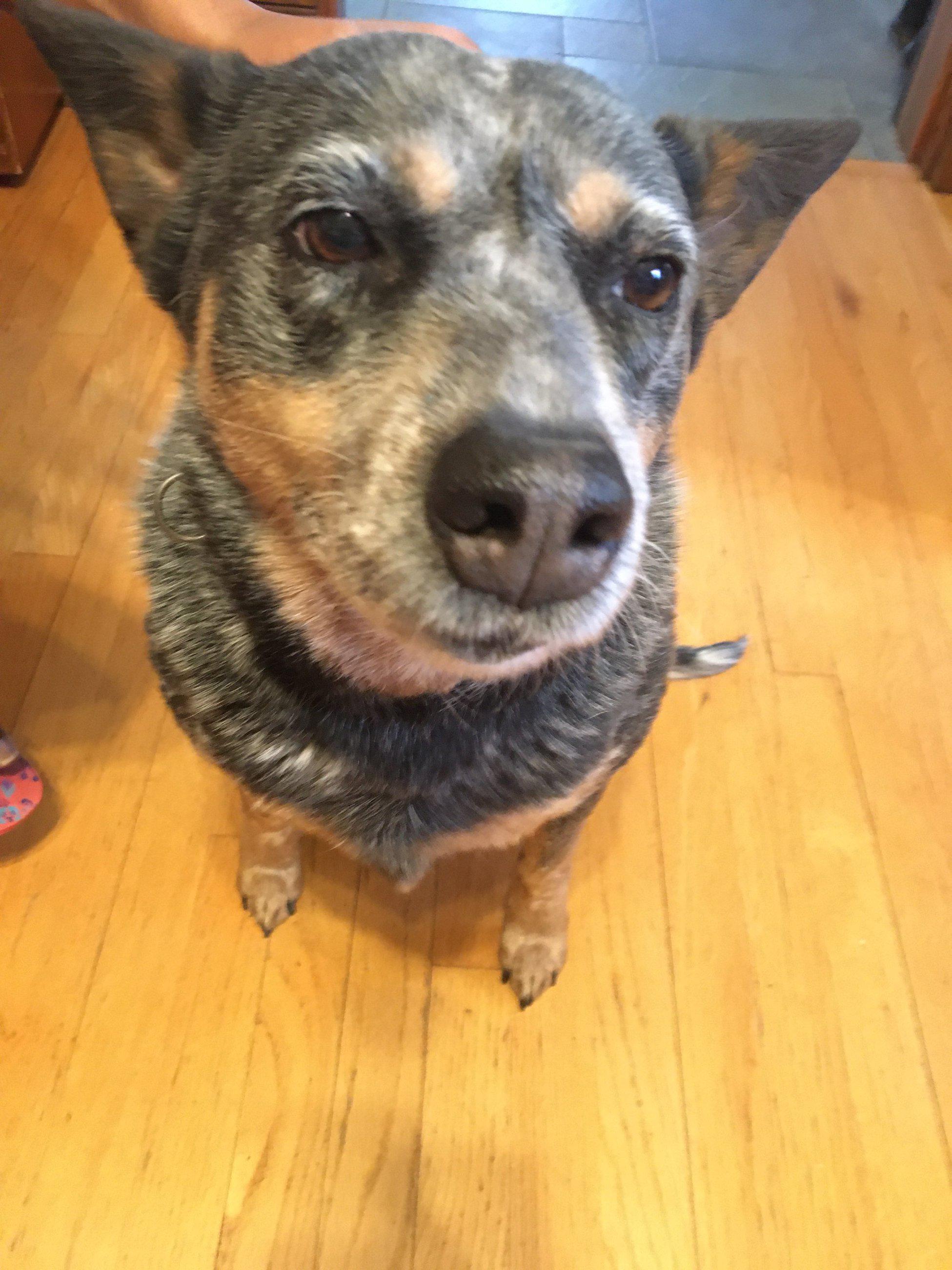 Sadie Is Awesome! | Scrolller