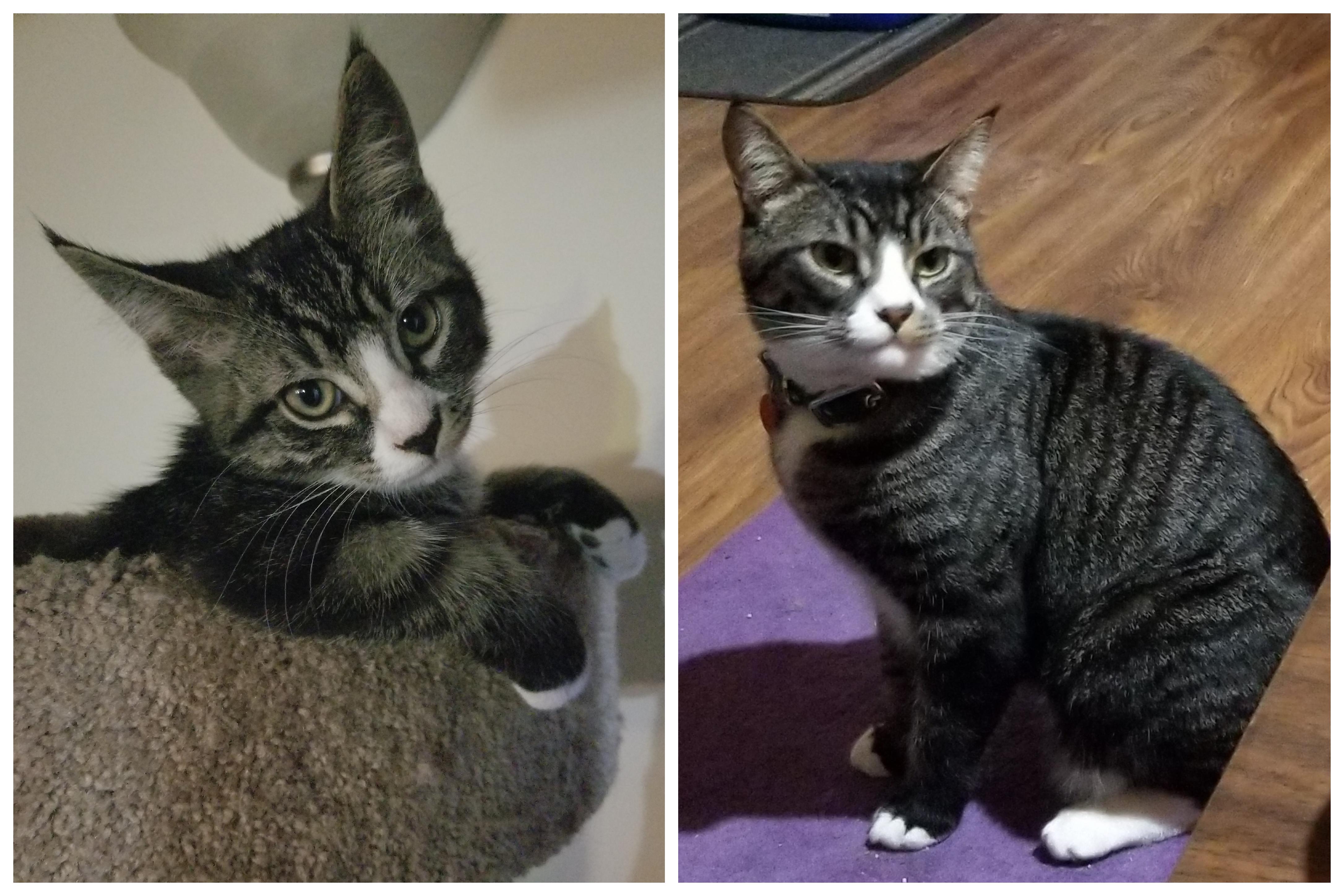 Safe to say he grew into his ears | Scrolller
