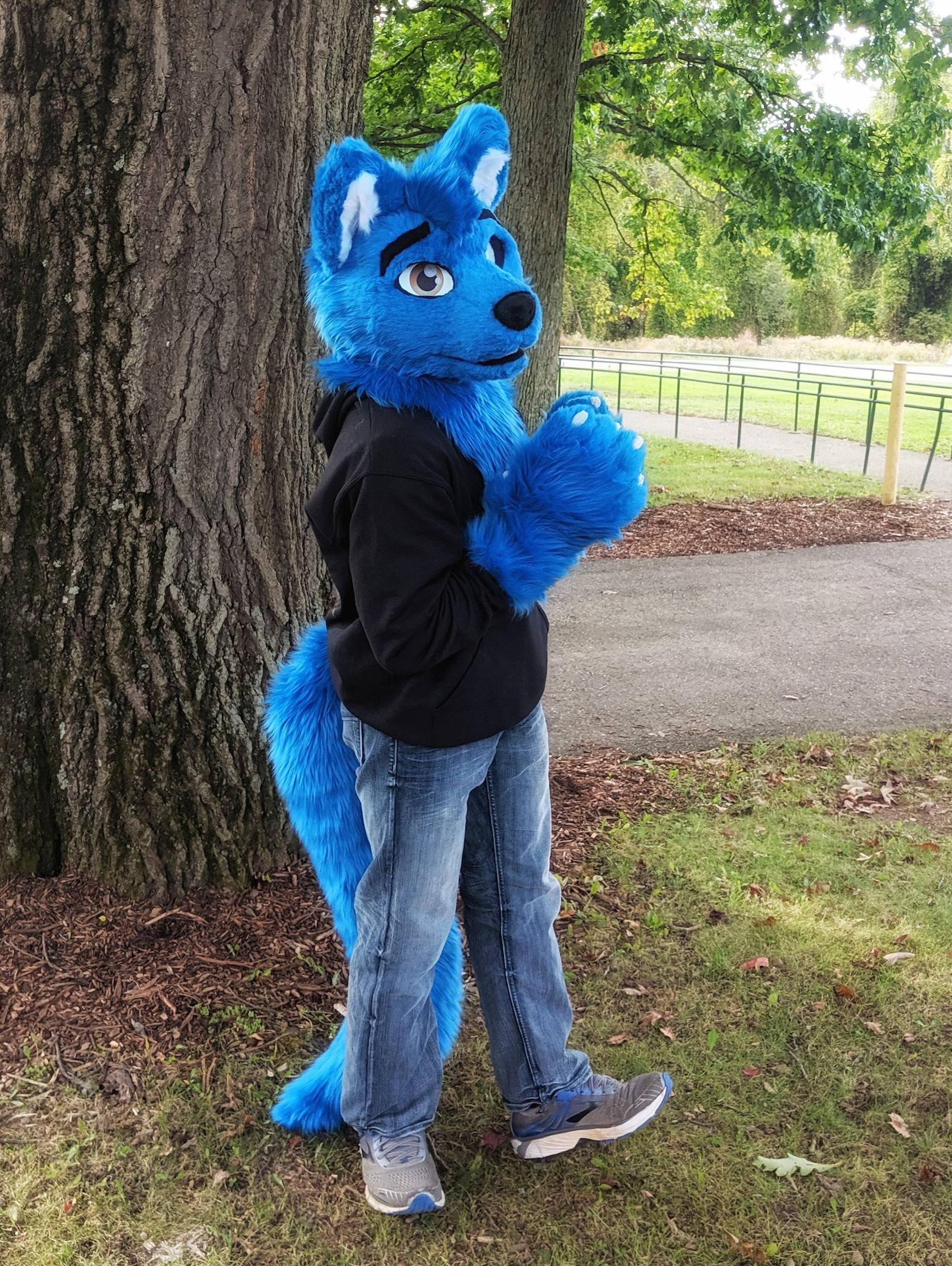 Salem mini-partial - by me, Sandcat Customs! [x-post r/furry] | Scrolller