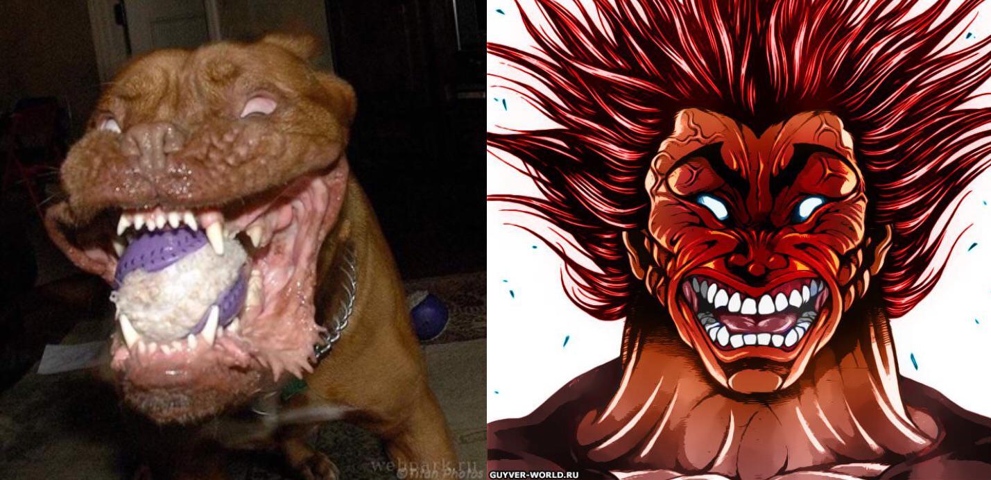 Same energy | Scrolller