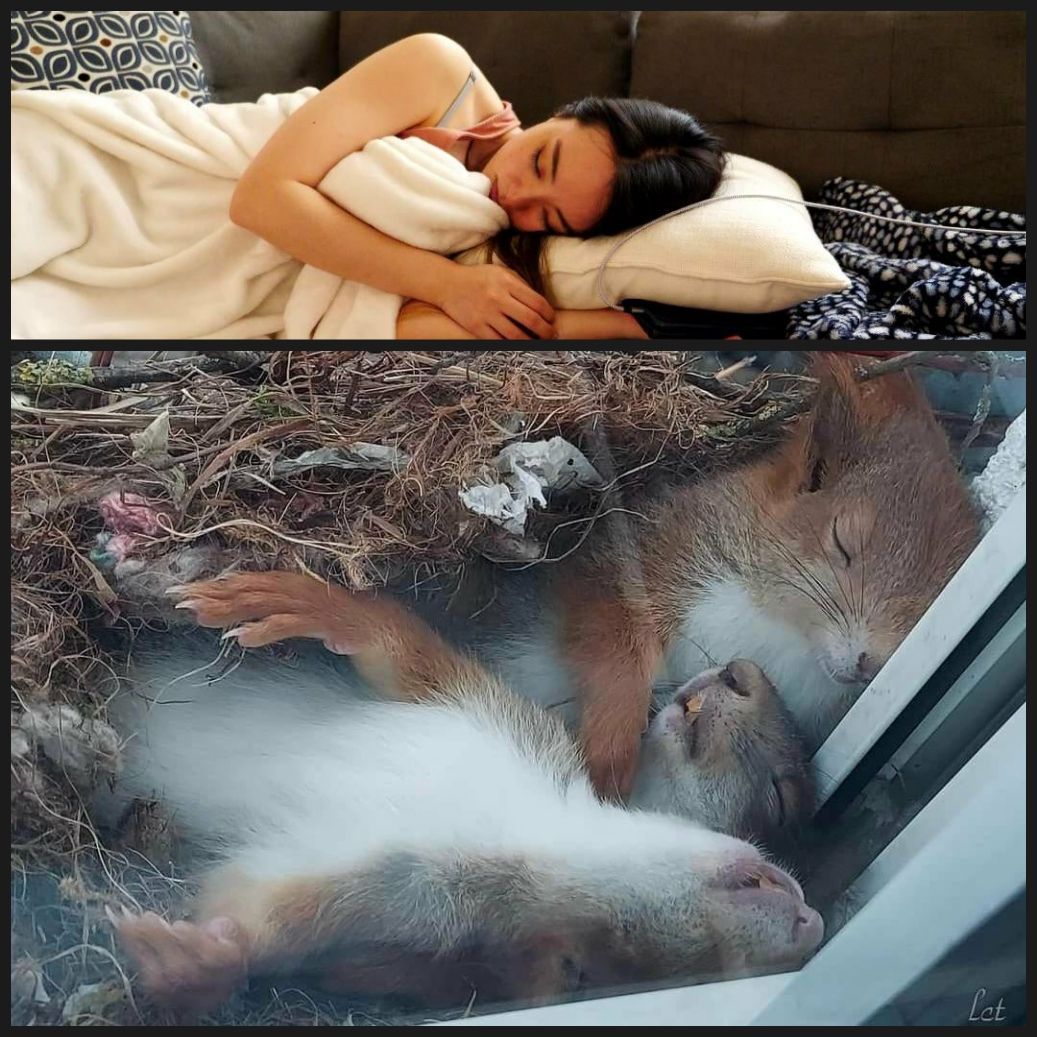 Same energy | Scrolller