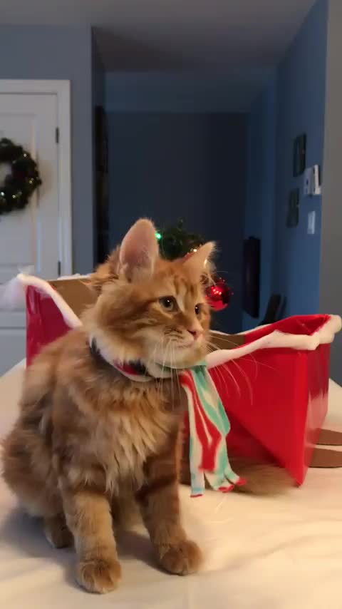 Santas Helpers Scrolller