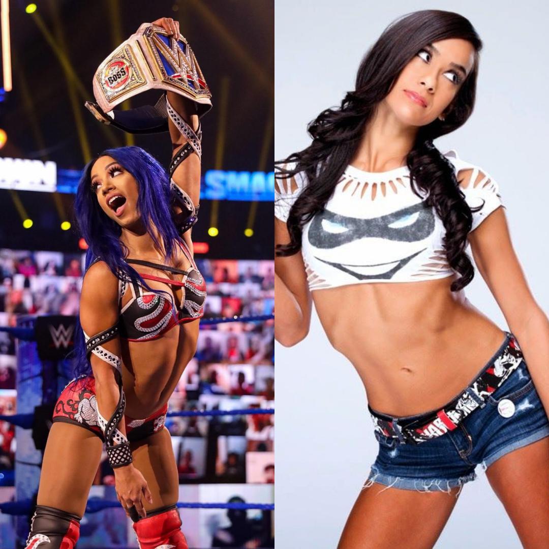 Sasha Banks or AJ Lee pick one for a wild wrestling fuck sesh. | Scrolller